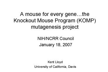 PPT – A mouse for every genethe Knockout Mouse Program KOMP mutagenesis ...