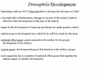 Drosophila Development presentation | free to view