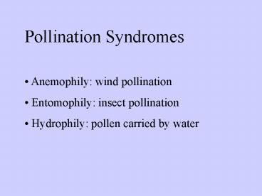 PPT – Pollination Syndromes PowerPoint presentation | free to view - id ...