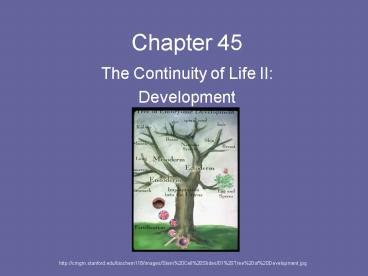 The Continuity of Life II: presentation | free to view