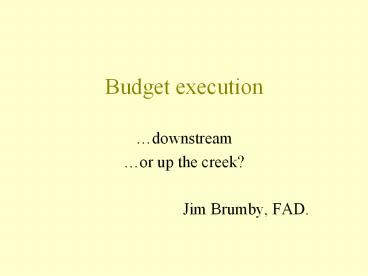 Budget execution presentation | free to download