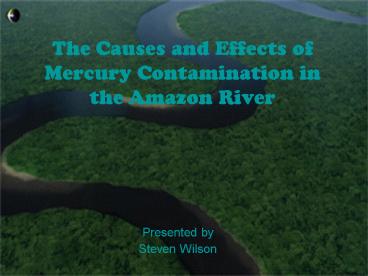 The Causes and Effects of Mercury Contamination in the Amazon River ...