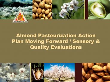 Almond Pasteurization Action Plan Moving Forward Sensory presentation ...