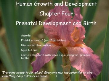 PPT – Human Growth and Development PowerPoint presentation | free to ...