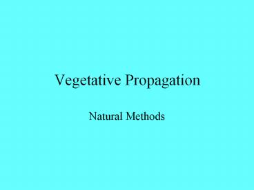 Vegetative Propagation presentation | free to download