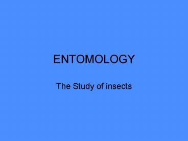 ENTOMOLOGY presentation | free to view