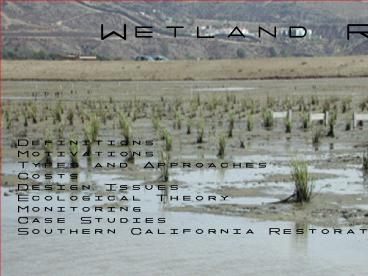 PPT – Wetland Restoration PowerPoint presentation | free to view - id ...