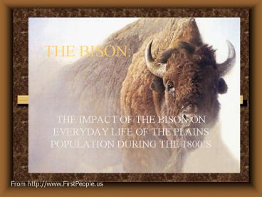 PPT – THE BISON: PowerPoint presentation | free to view - id: 3d53f-YWY3O