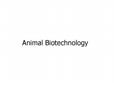 Animal Biotechnology presentation | free to view