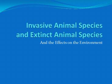 PPT – Invasive Animal Species and Extinct Animal Species PowerPoint ...