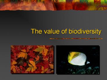 The value of biodiversity presentation | free to view