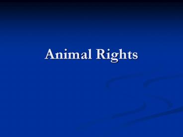 Animal Rights presentation | free to view
