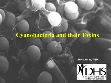 Cyanobacteria and their Toxins presentation | free to view
