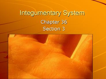 Integumentary System presentation | free to view