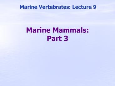 PPT – Marine Mammals: Part 3 PowerPoint presentation | free to view ...