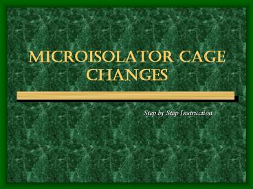 PPT – Microisolator Cage Changes PowerPoint presentation | free to view ...