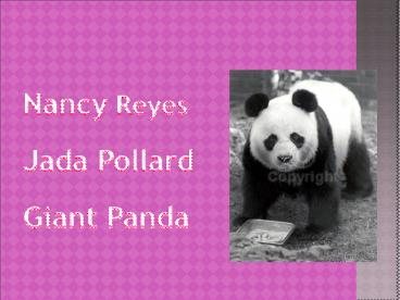 PPT – Nancy Reyes PowerPoint presentation | free to download - id ...