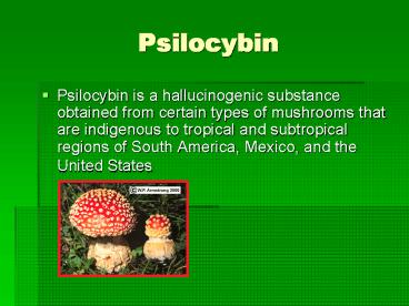 Psilocybin presentation | free to view