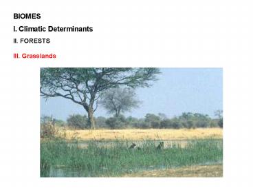 PPT – BIOMES PowerPoint presentation | free to view - id: 44869-ZDc1Z