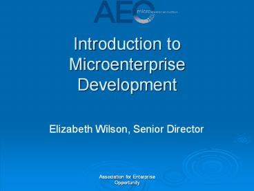 Introduction to Microenterprise Development presentation | free to view