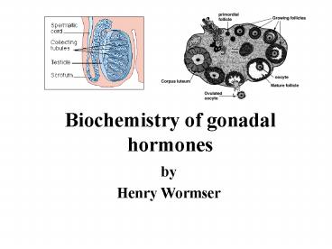 Biochemistry of gonadal hormones presentation | free to view