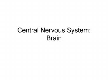 PPT – Central Nervous System: Brain PowerPoint presentation | free to ...