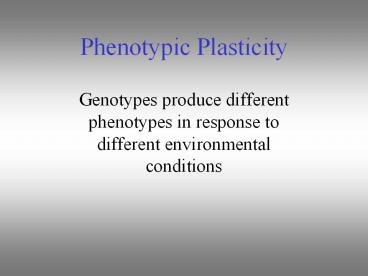 Phenotypic Plasticity presentation | free to view