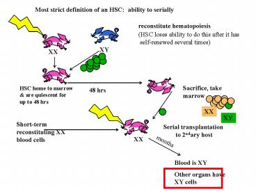 PPT – Most strict definition of an HSC: ability to serially PowerPoint ...