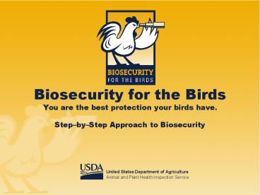 PPT – Biosecurity for the Birds You are the best protection your birds ...
