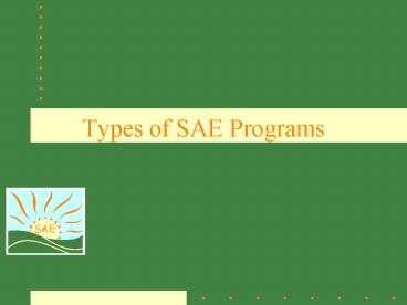 Types of SAE Programs presentation | free to view