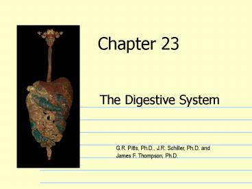 PPT – The Digestive System PowerPoint presentation | free to view - id ...