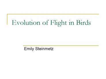 Evolution of Flight in Birds presentation | free to view