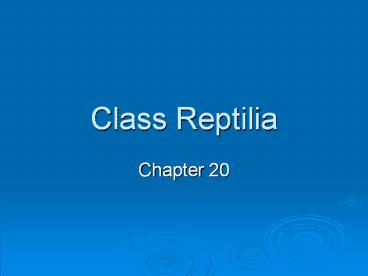 Class Reptilia presentation | free to view