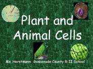 PPT – Animal Body Parts and Their Uses PowerPoint presentation | free ...