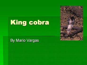 PPT – King cobra PowerPoint presentation | free to view - id: 56089-NWY2N