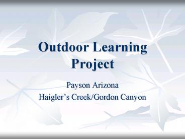 PPT – Outdoor Learning Project PowerPoint presentation | free to view ...
