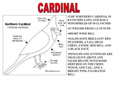 CARDINAL presentation | free to view