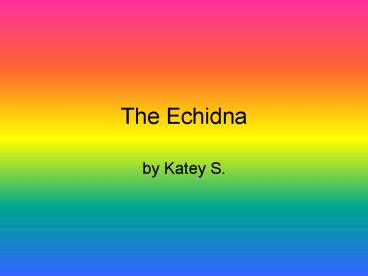The Echidna presentation | free to view