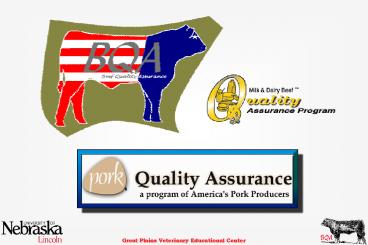Beef Quality Assurance presentation | free to view