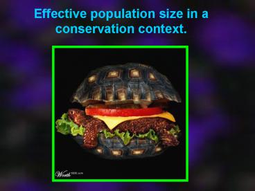Effective population size in a conservation context' presentation ...