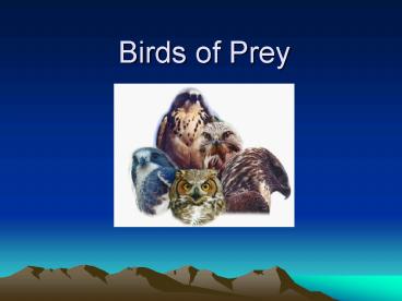 Birds of Prey presentation | free to view