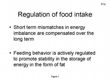 Regulation of food intake presentation | free to view