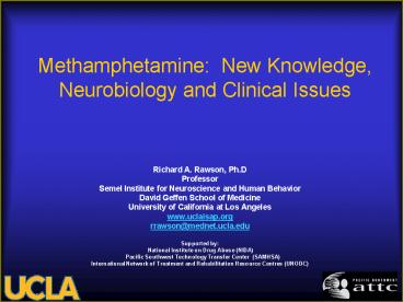 Methamphetamine: New Knowledge, Neurobiology and Clinical Issues ...