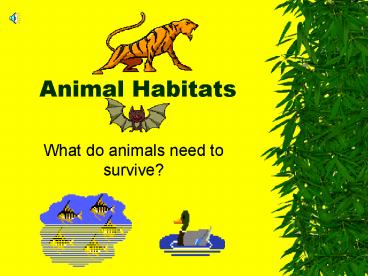 PPT – Animal Habitats PowerPoint presentation | free to view - id ...