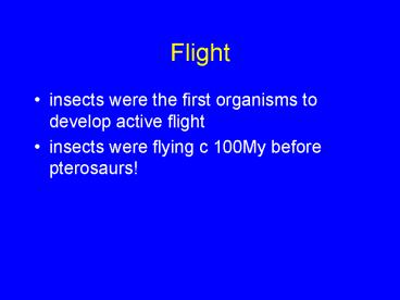 PPT – Flight PowerPoint presentation | free to view - id: 633d7-NWU1N