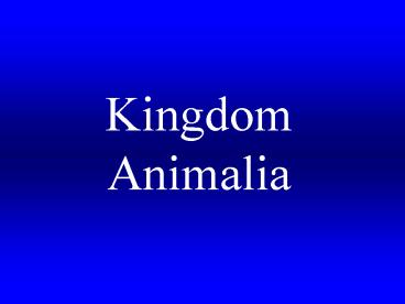 PPT – Kingdom Animalia PowerPoint presentation | free to view - id ...