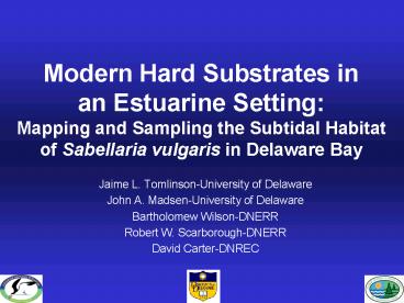 Modern Hard Substrates in an Estuarine Setting: Mapping and Sampling ...