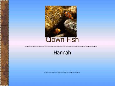 PPT – Clown Fish PowerPoint presentation | free to view - id: 63800-ZjQ3N