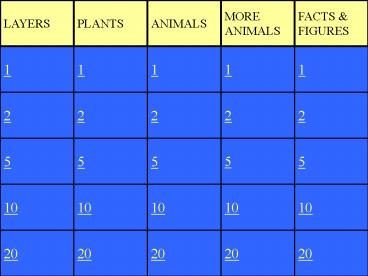 Rainforest Jeopardy presentation | free to view