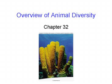 PPT – Overview of Animal Diversity PowerPoint presentation | free to ...
